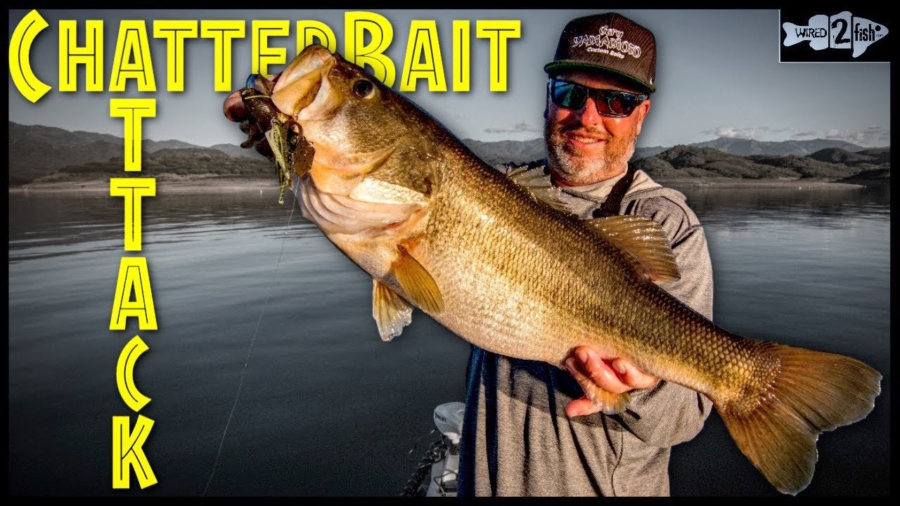 3 Reasons ChatterBaits are a Dominant Bass Fishing Lure - YouTube