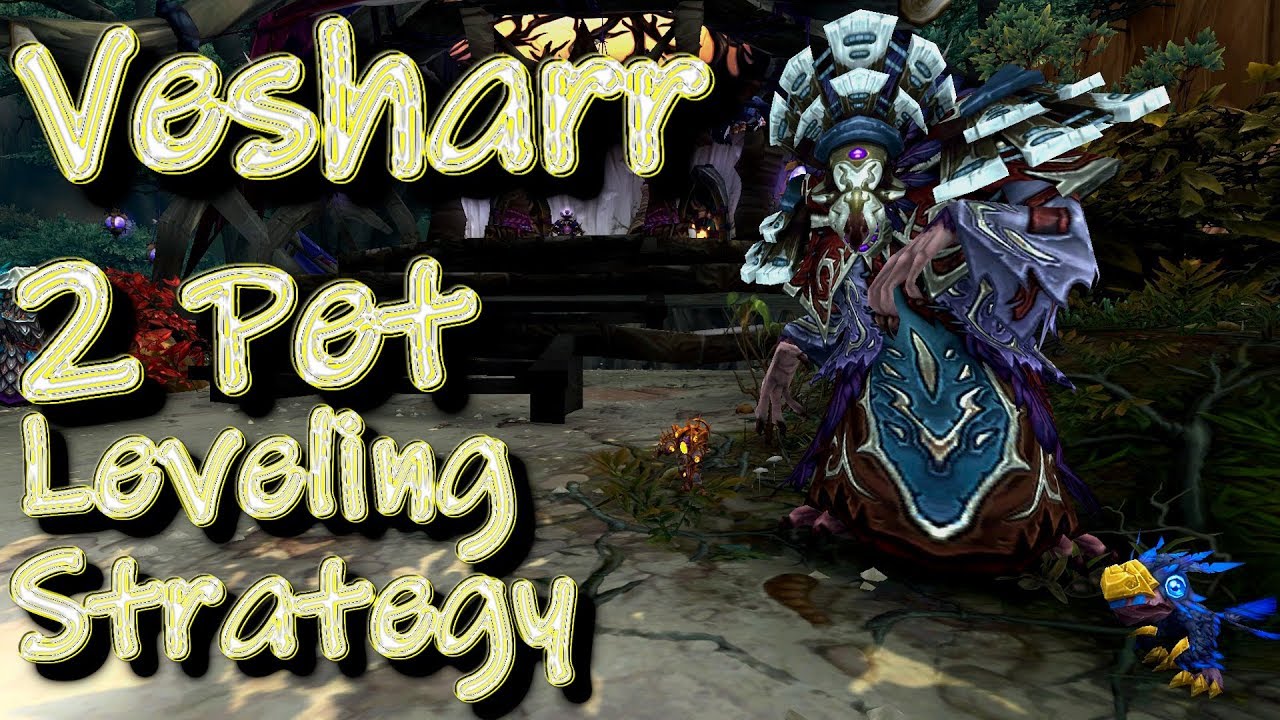 Vesharr 2 Pet Leveling Strategy Warcraft Pet Battles - YouTube