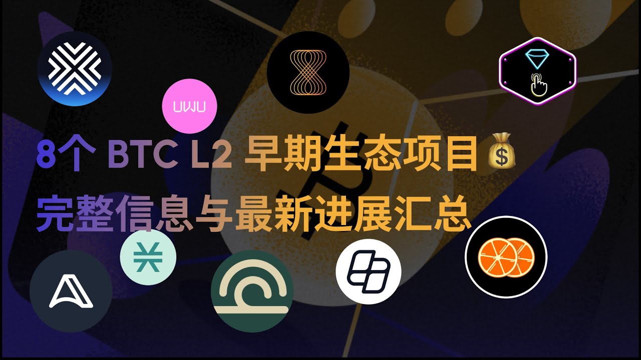 8个 BTC L2 早期生态项目，完整信息与最新进展汇总 #stx #btc #layer2 - YouTube