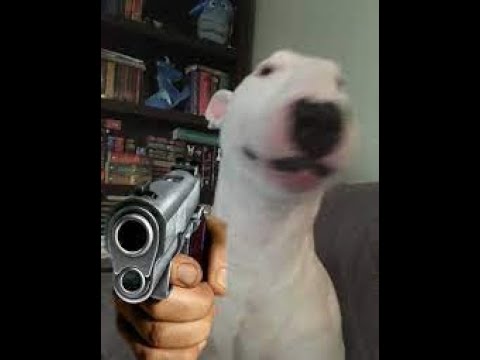 THE STREETZ AINT FOH U CUZZ
