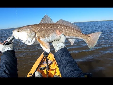 (S2 Ep81) TOP SECRET! NEW STANKY Lure Catches MONSTERS - YouTube