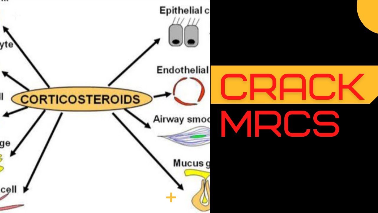 Functions of corticosteroid MRCS question solve (CRACK MRCS) - YouTube