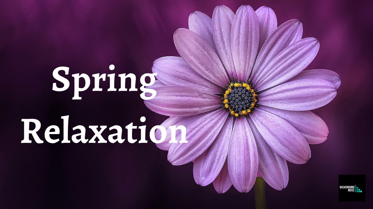 Relaxing Music - "Spring" - Beautiful Relaxing Piano Music with ...