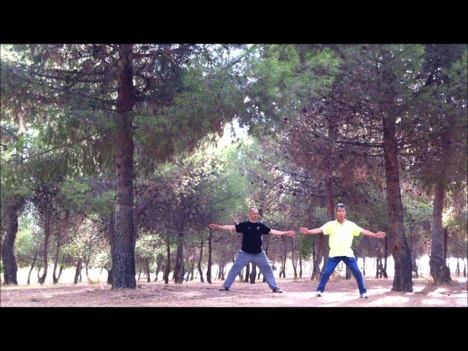 Explicaciones Kouk Sun Do del Maestro Kim con Paco Bohega - YouTube