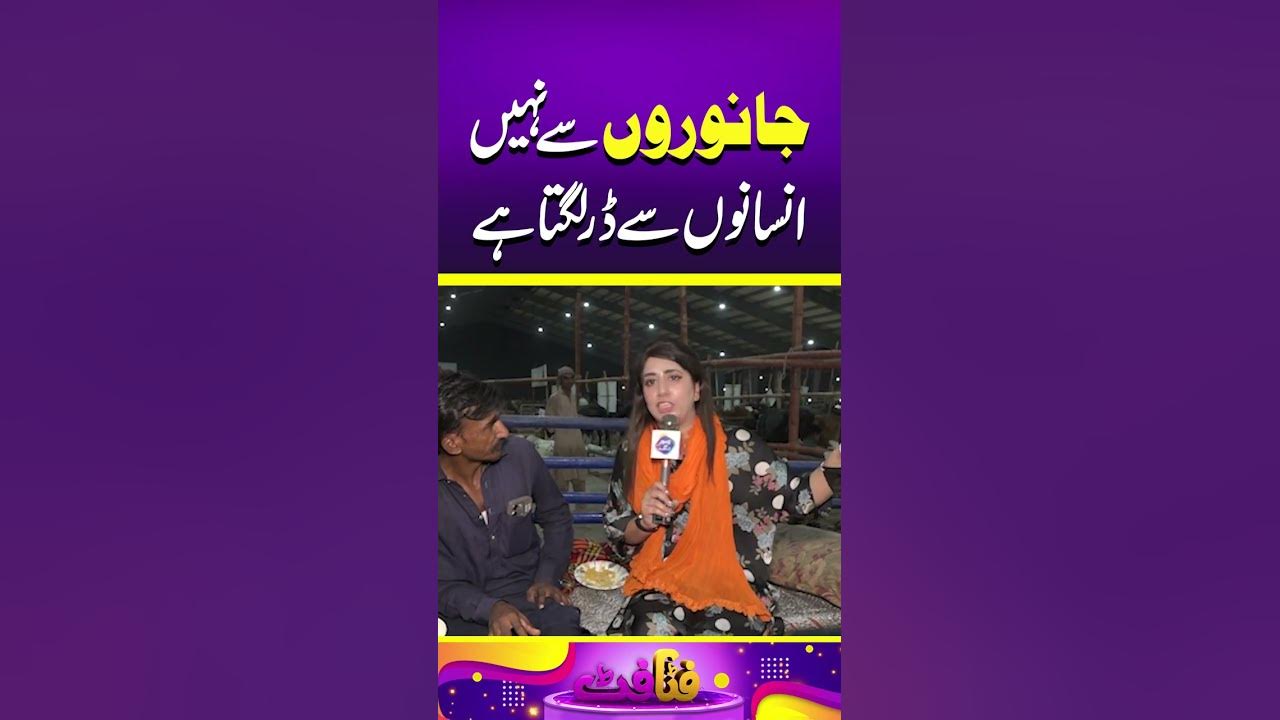 Janwaron Say Nahin, Insanon se Darr lagta hai | Fatta Fat | Lahore Rang | Shorts - YouTube