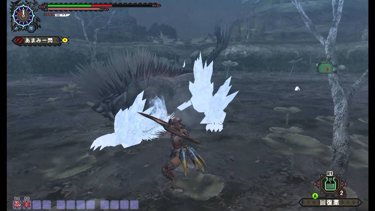 【MHF GG】双剣でG級HCカム・オルガロン - YouTube