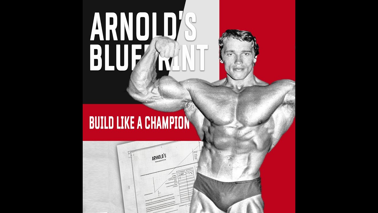 Arnold Schwarzenegger’s Blueprint: Secrets to Building a Champion ...