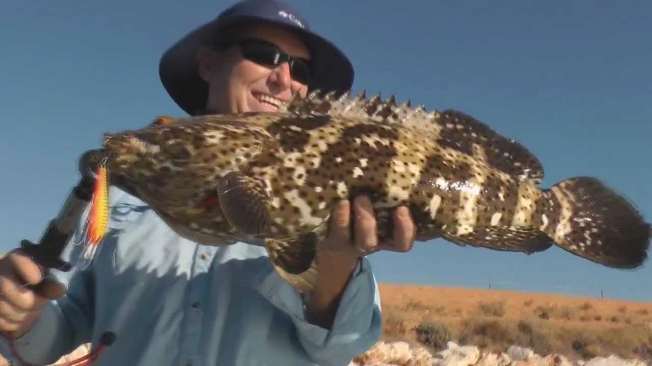 How to Catch Fish - Trolling in Marinas - YouTube