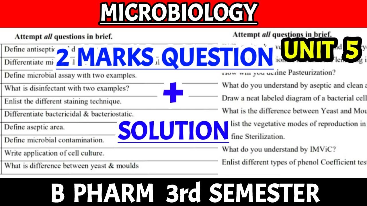 Microbiology 2 marks important question with solution || Microbiology ...