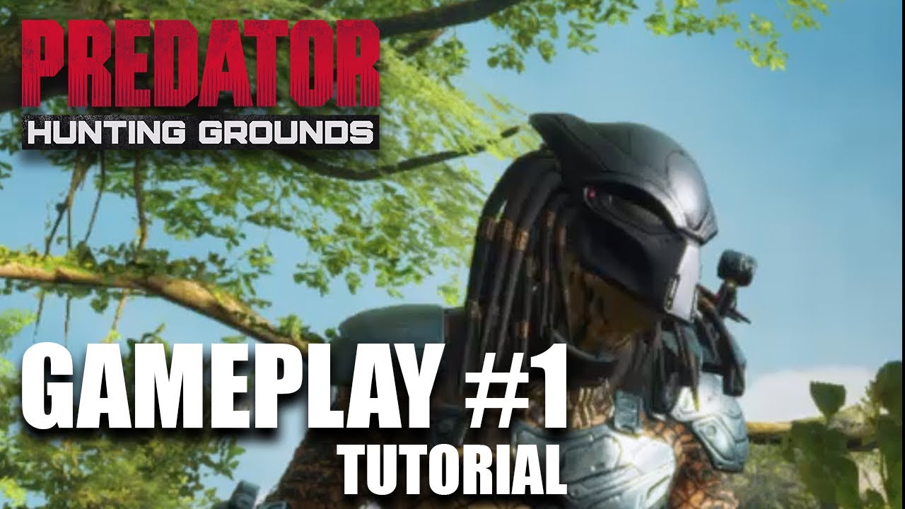 PREDATOR HUNTING GROUNDS Gameplay Walkthrough Part 1 - Tutorial - YouTube