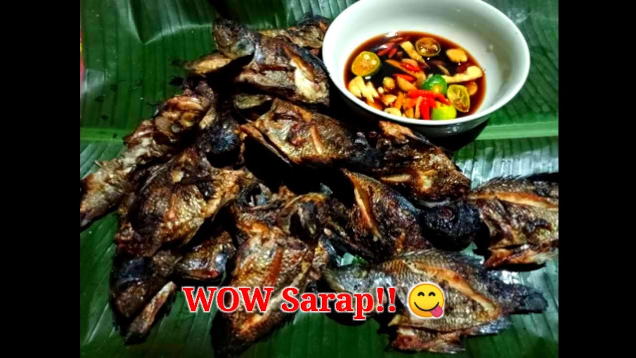 BACKYARD POND FISHING AND COOKING - YouTube