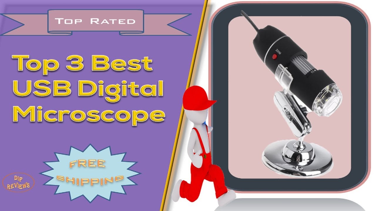 Top 3 Best Usb Digital Microscope Reviews - YouTube