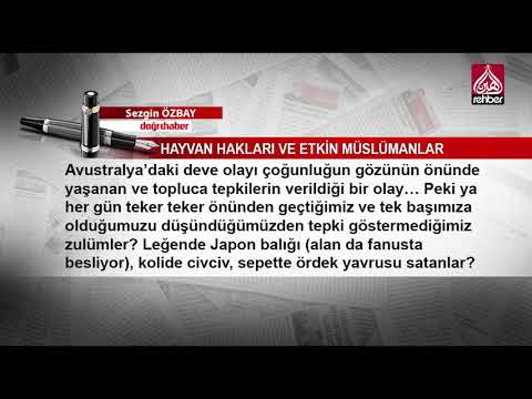 Hayvan Hakları ve Etkin Müslümanlar