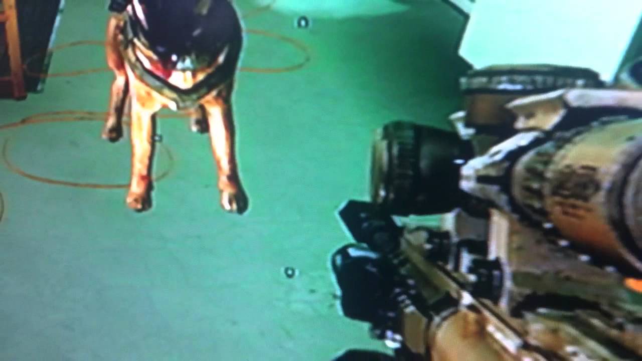 MY FIRST DOG ON CALL OF DUTY GHOSTS!!!! - YouTube