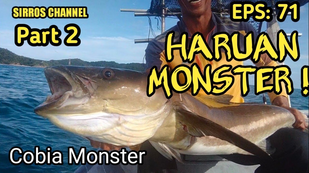 cobia Monster fishing EPS 71|mancing ikan haruan tasik - YouTube