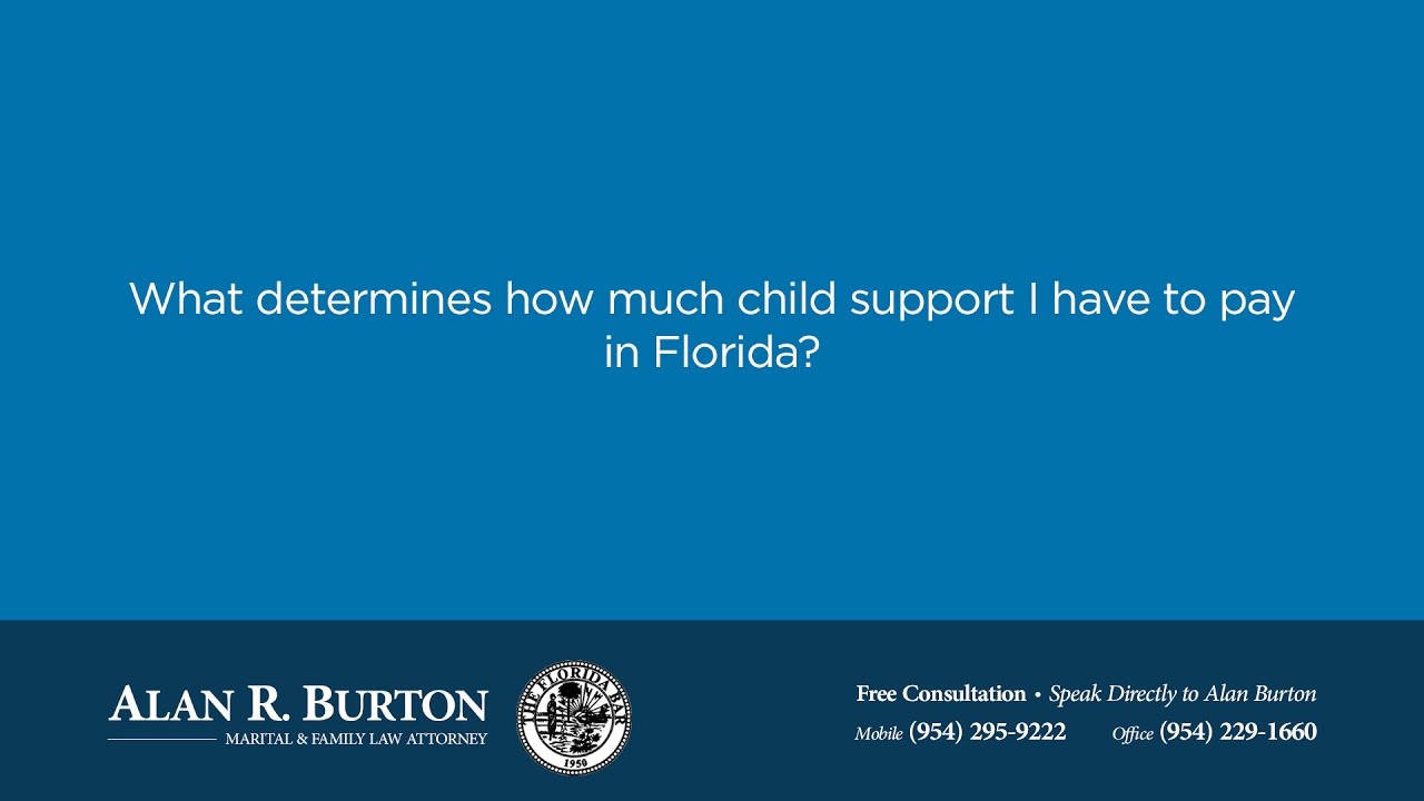 What Determines How Much Child Support I Have To Pay In Florida YouTube what-determines-how-much-child-support-i-have-to-pay-in-florida-youtube