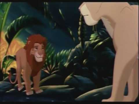 roi lion calogero devant toi