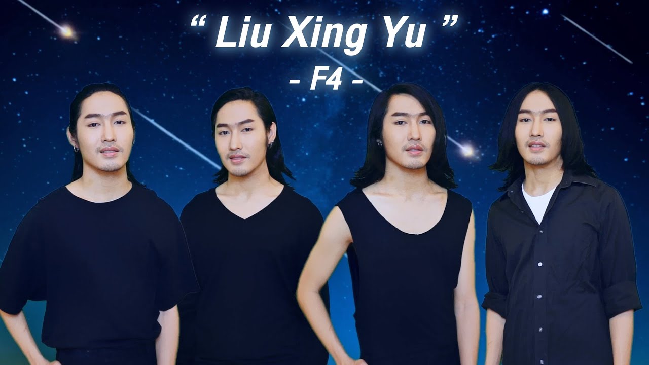 流星雨 Liu Xing Yu (The Meteor Rain) - F4 | Cover by Haiseoul - YouTube