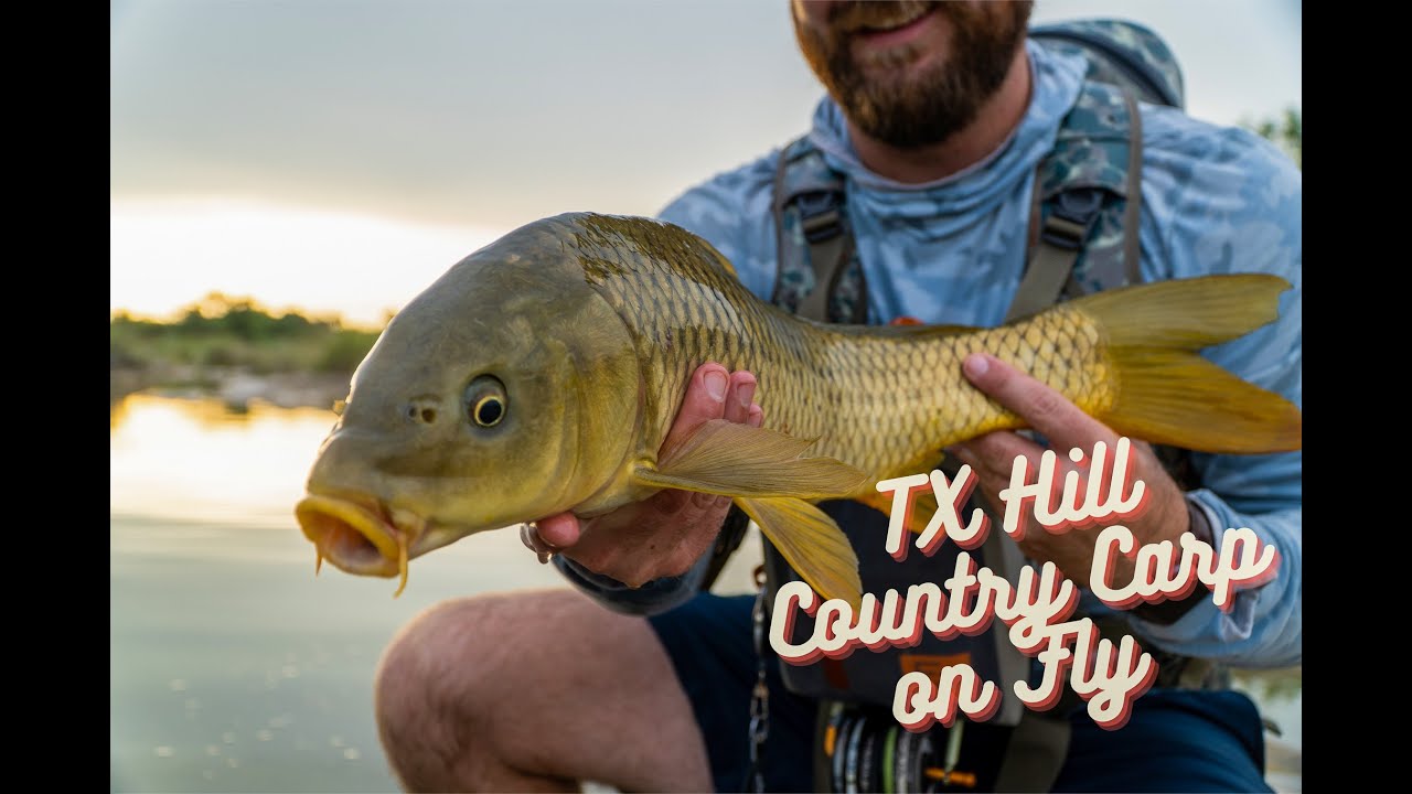TEXAS CARP FLY FISHING. Missing footage but a great day on the water ...