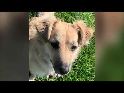 Lina and Lucky im Urlaub