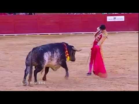 Matador killed in Spain bullfight - YouTube