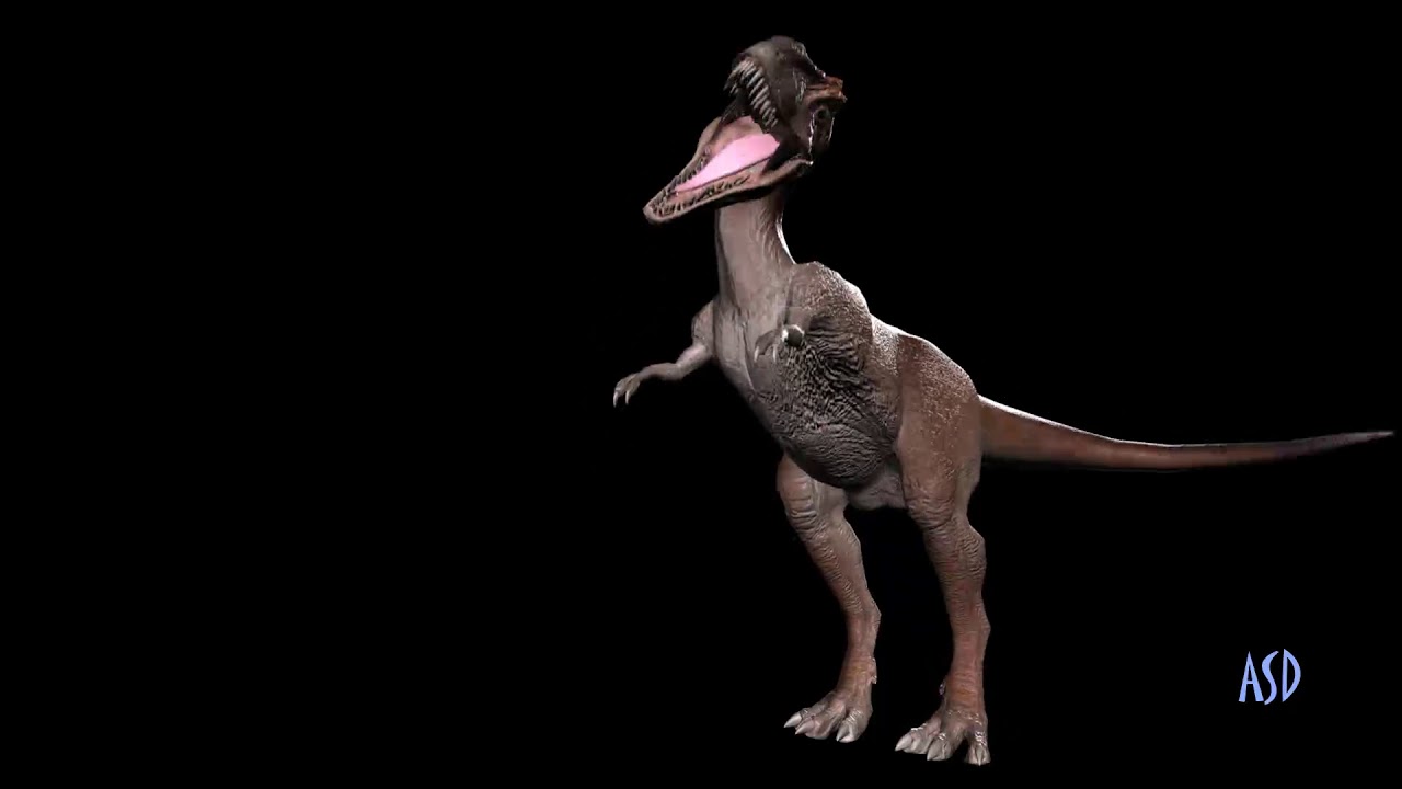 Dinosaur yelling Animation in 3D - YouTube