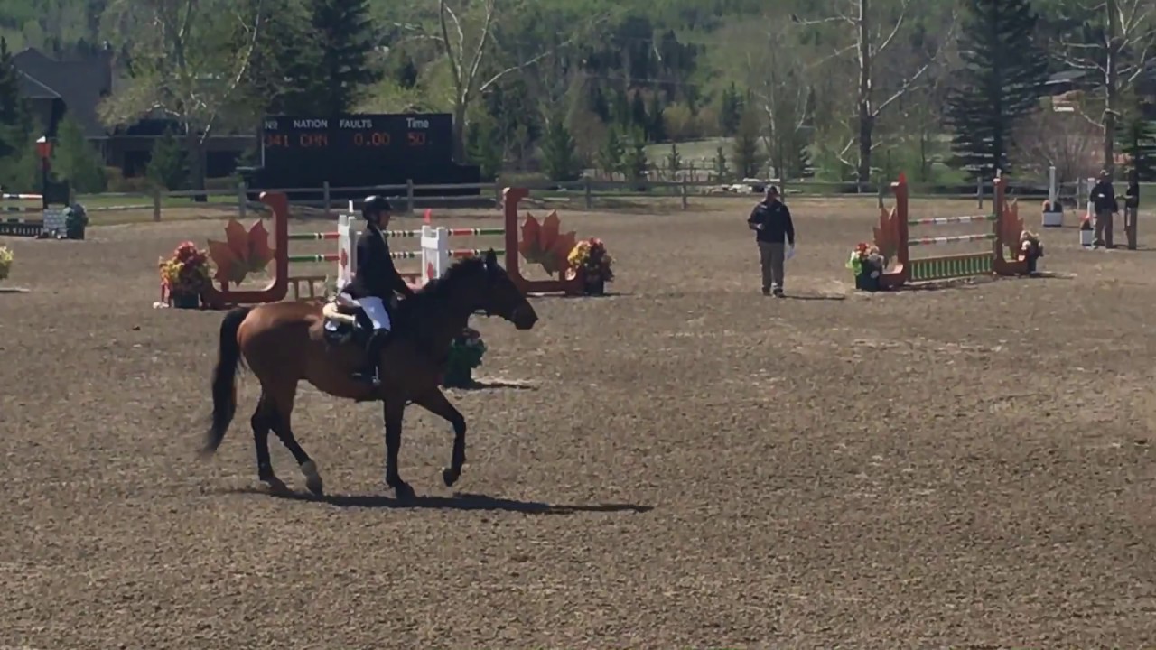 Gigolo 1.15m Mini Prix Jump Off - 3rd Spruce May Classic II 2018 - YouTube