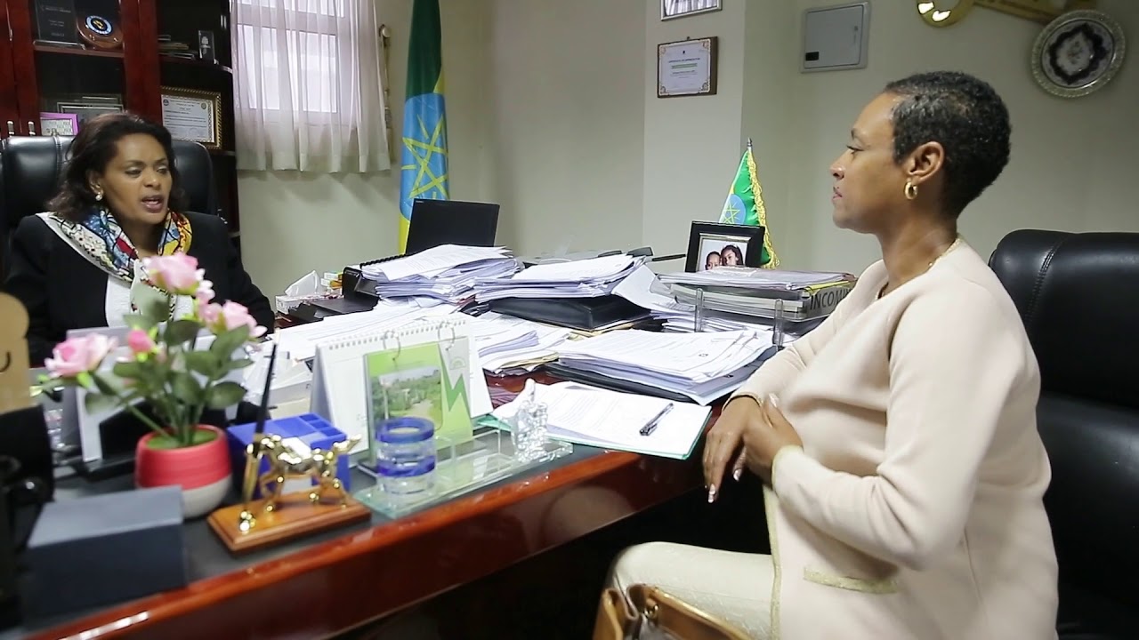 Eng. Azeb Asnake speaks about Eng. Simegnew Bekele and GERD - YouTube