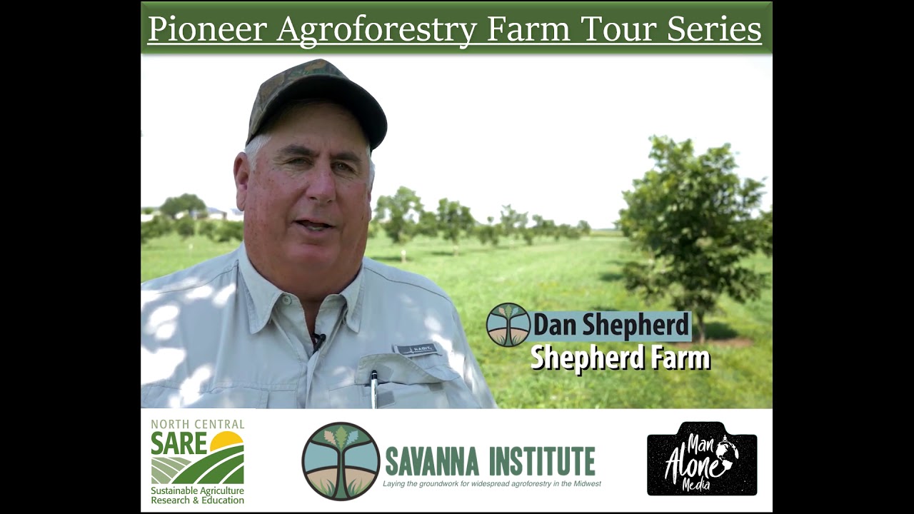 Dan Shepherd (audio interview) - Agroforestry Farm Tour Series - YouTube