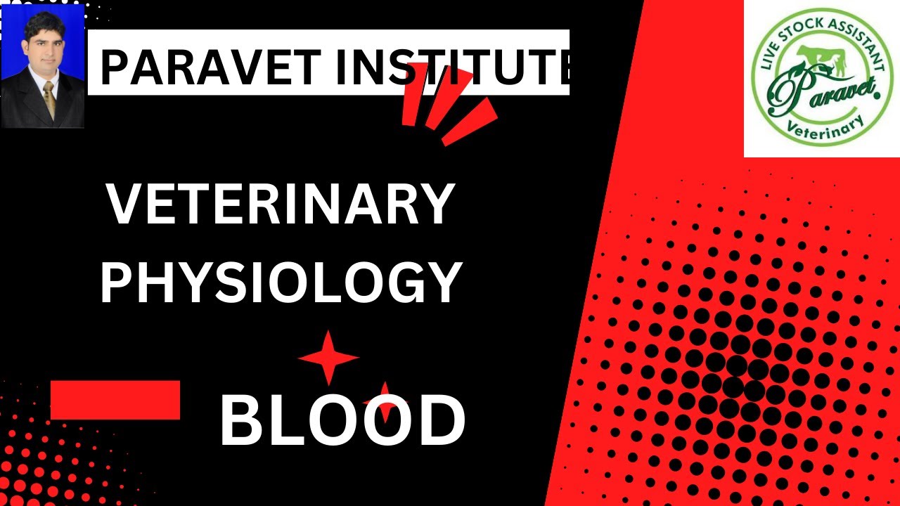 BLOOD BY Dr. G.P. SHARMA (ENGLISH MEDIUM) - YouTube