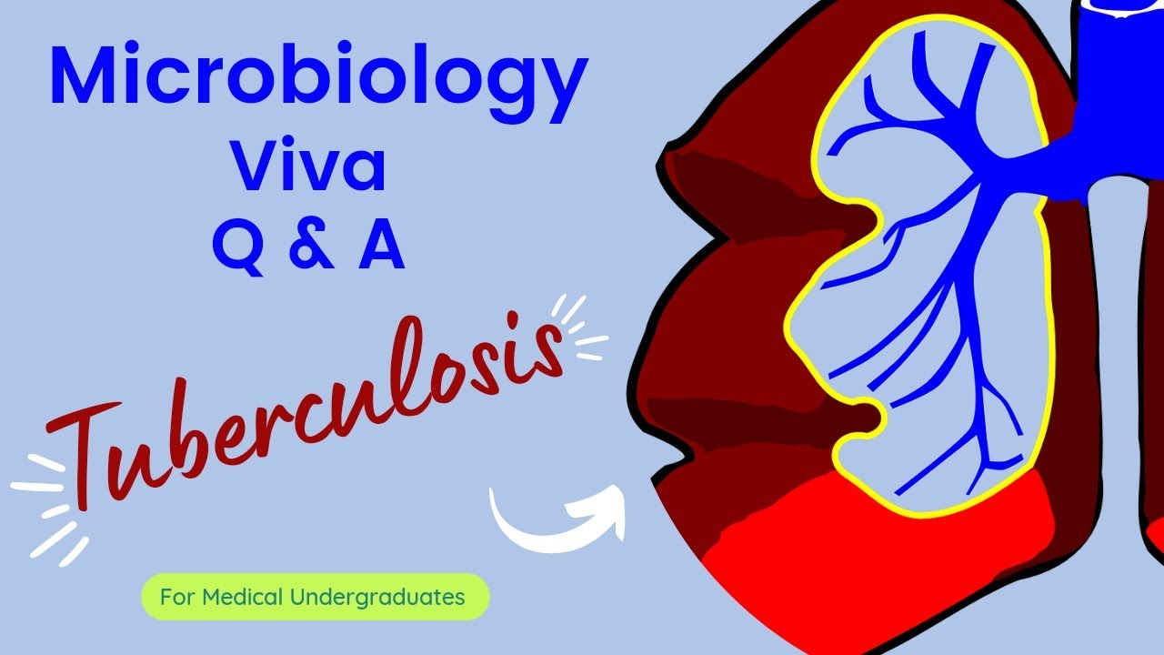 Tuberculosis | microbiology vivavoce for medical undergraduates | TB ...