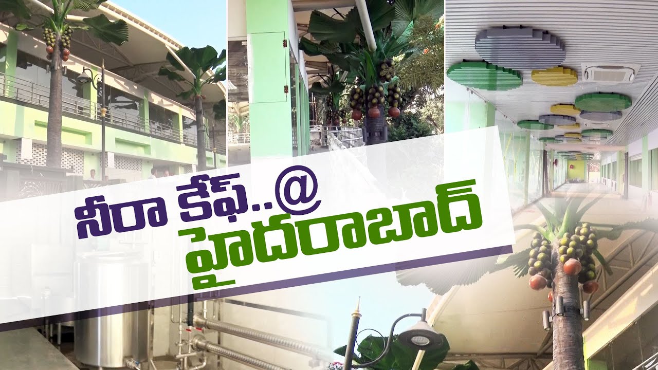 ETV Special Story On Telangana's First Neera Cafe | Hyderabad | నీరా ...