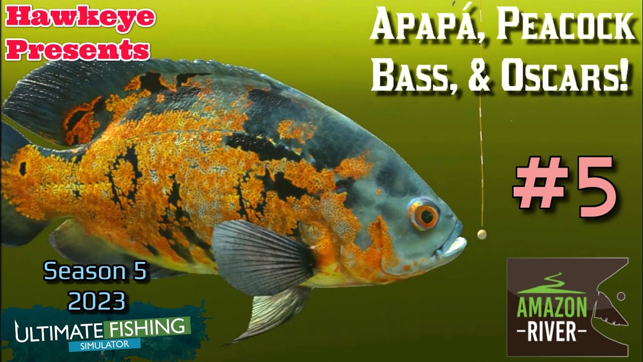 Ultimate Fishing Simulator S5 #5 - Amazon River: Apapá, Peacock Bass ...
