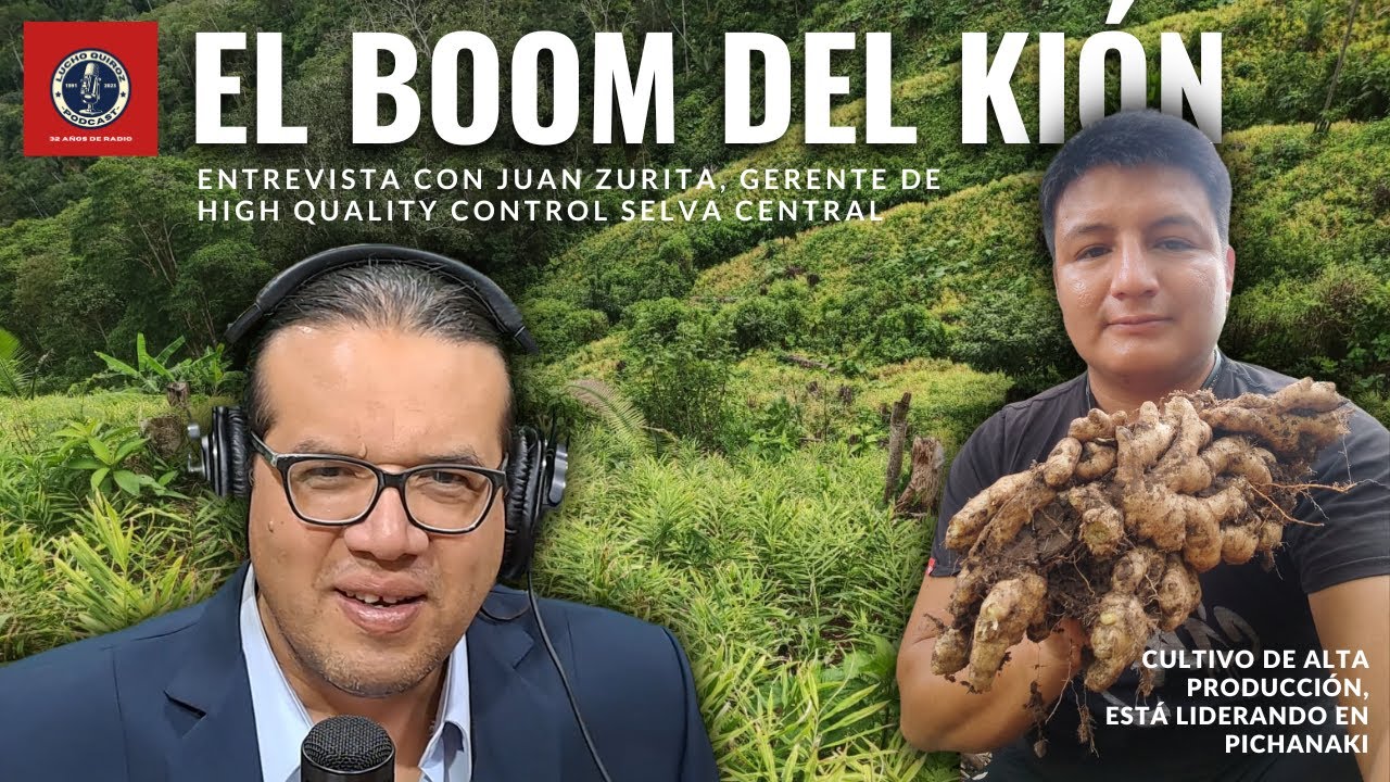 LA GRAN PRODUCCIÓN DE KION EN EL PERÚ ES DE LA SELVA CENTRAL, PICHANAKI ...