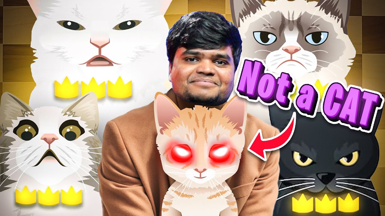 Five Chess.com Cat Bots vs Human - YouTube