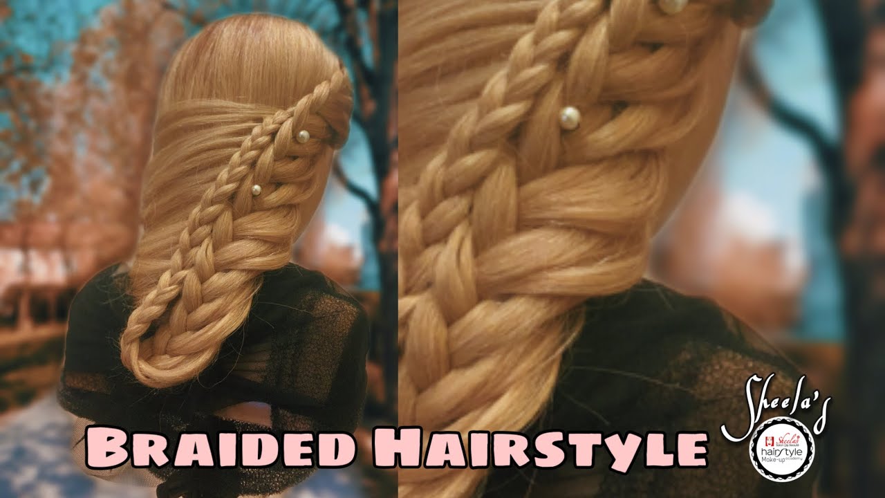 Braided Hairstyle for Long Hair // Side Swept Braids // Double Front ...