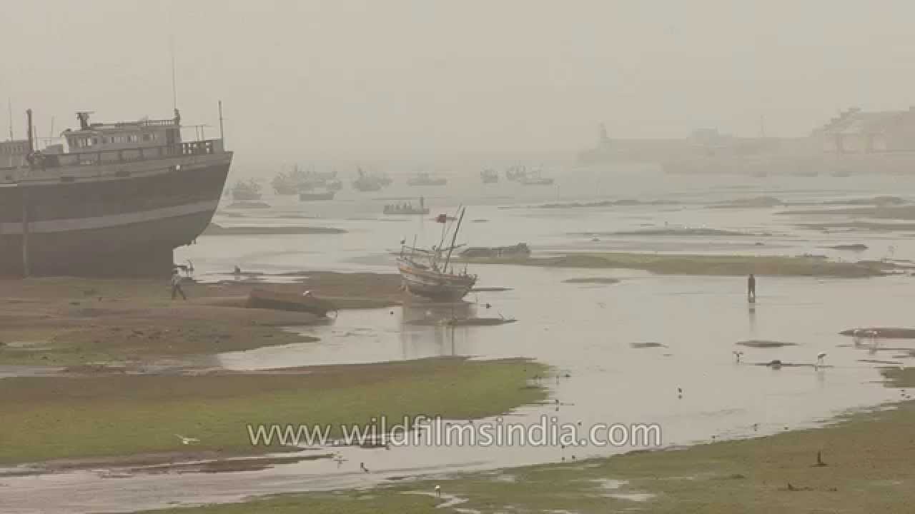 Shipbuilding yard - Gujarat - YouTube