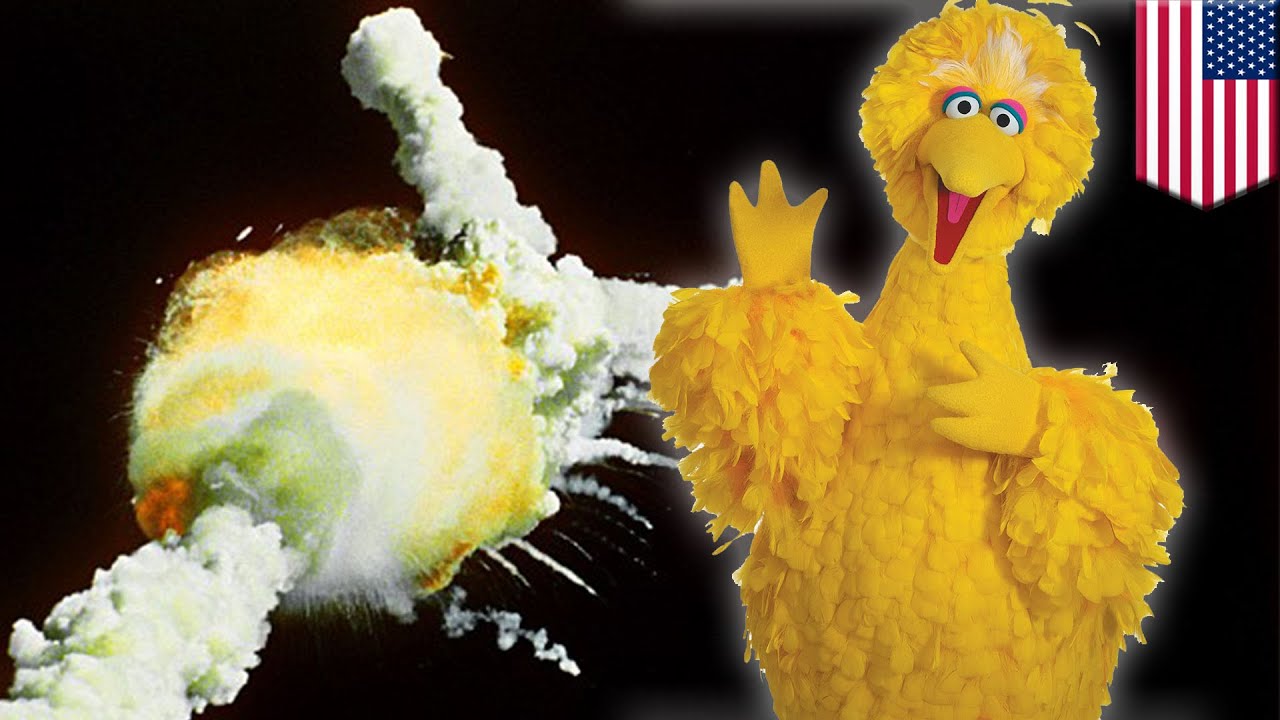 Sesame Street's Big Bird cheated death, was set to fly on doomed ...