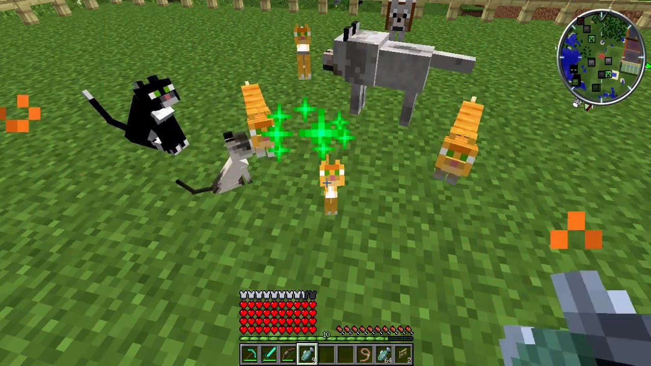 COMO DOMESTICAR OCELOTES GATOS EN MINECRAFT - YouTube