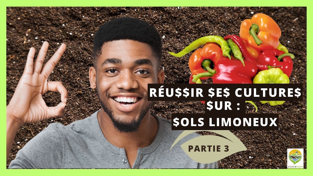 Culture sur sols limoneux : Conseils pratiques + idées de culture ...