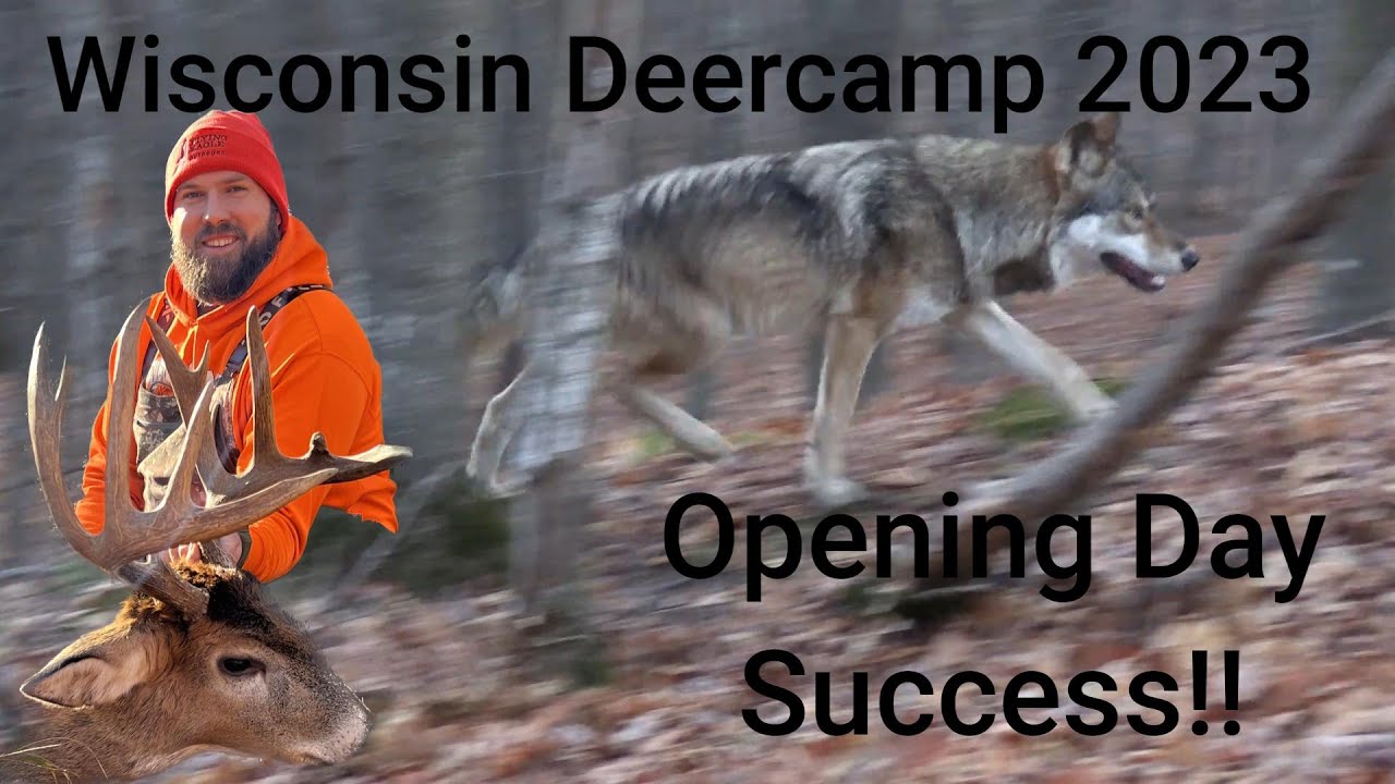 Wisconsin Deer Camp 2023!! Opening Day Success!! - YouTube