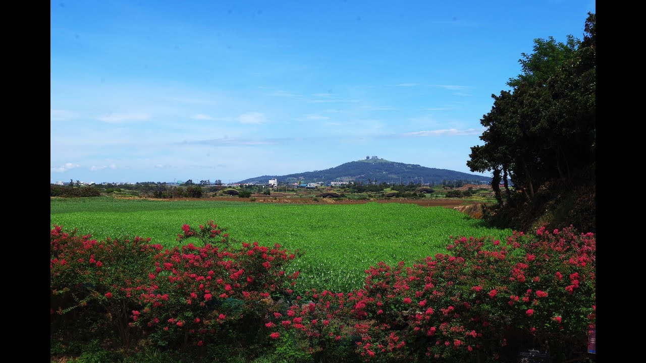 NARPI 2018 Jeju Field Trip - YouTube