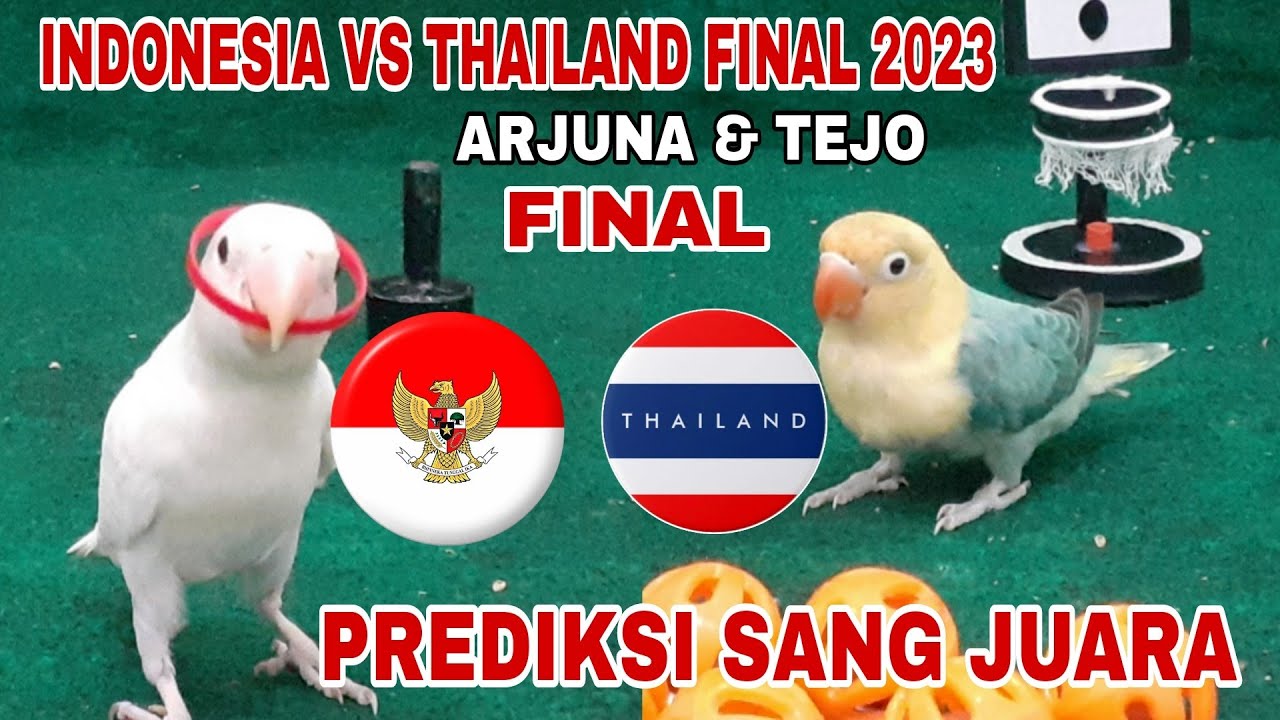 INDONESIA VS THAILAND || FINAL SEA GAMES KAMBOJA 2023 || PREDIKSI SANG JUARA VERSI ARJUNA & TEJO ...