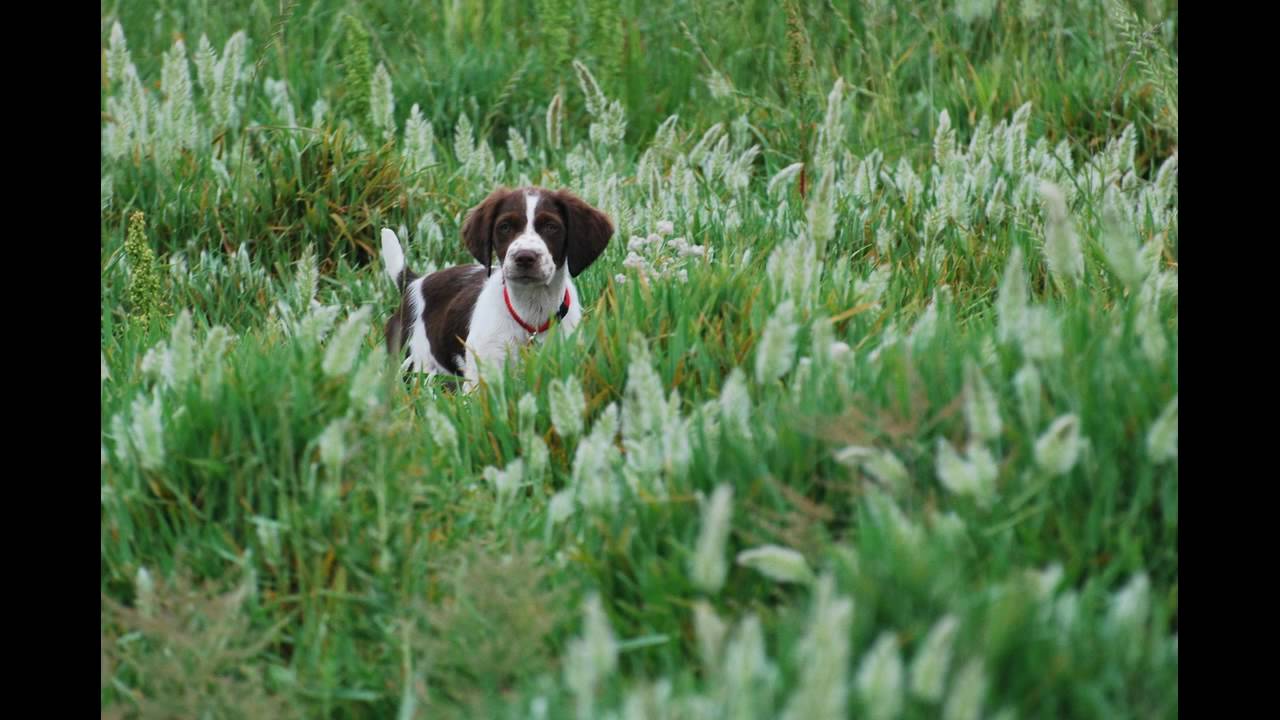 Another Training Day at Prado Introducing Rea - YouTube