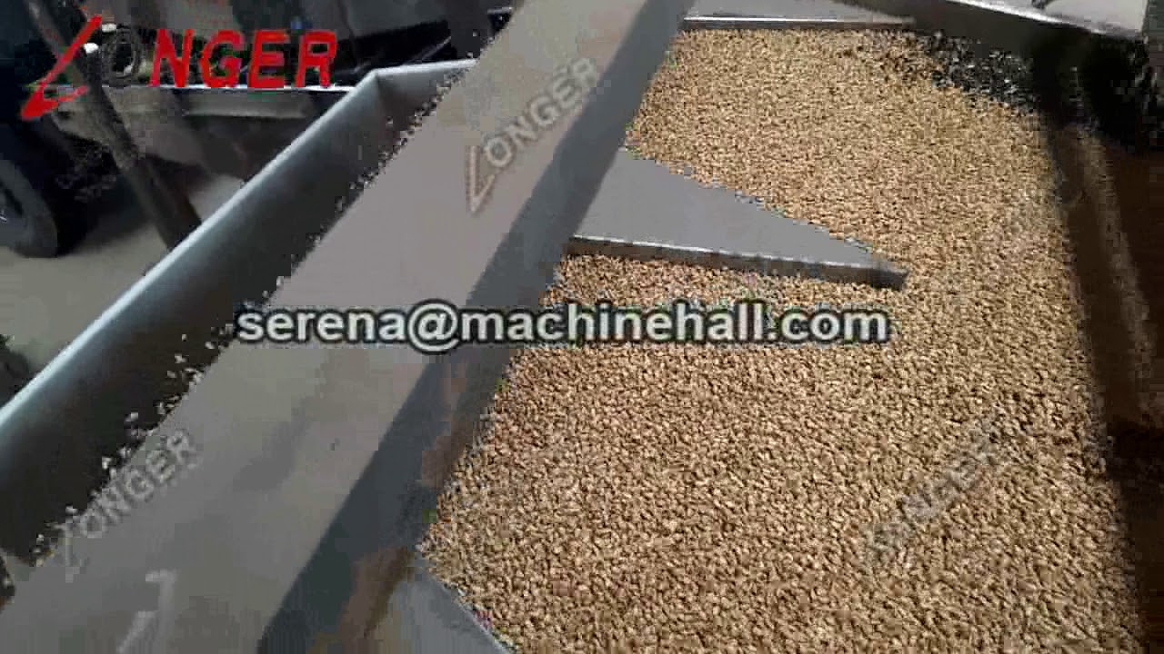 How do machines crack and shell sunflower seeds? - Sunflower Seed ...