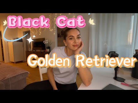 Terk Edilme Enerjisinden Çık & Gücünü Geri Al! | Black Cat Kadın vs. Golden Retriever Erkek