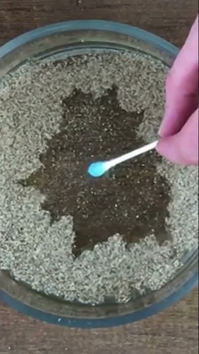 Dancing Pepper Experiment | Why Does Pepper Run From Soap | Hydrophobic ...