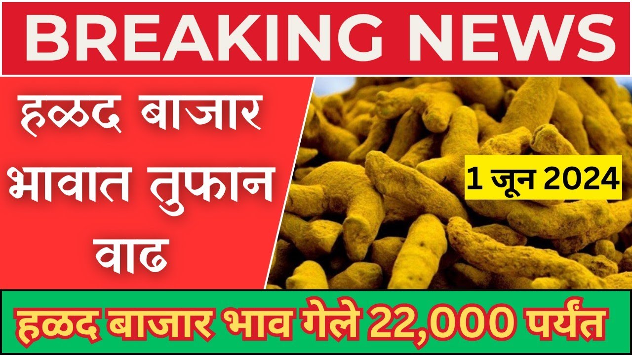 🔴 1 June 2024 आजचा हळद भाव महाराष्ट्र | Halad Bajar Bhav Today ...