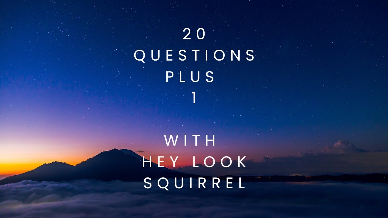 20 questions plus 1 with Hey Look Squirrel - YouTube