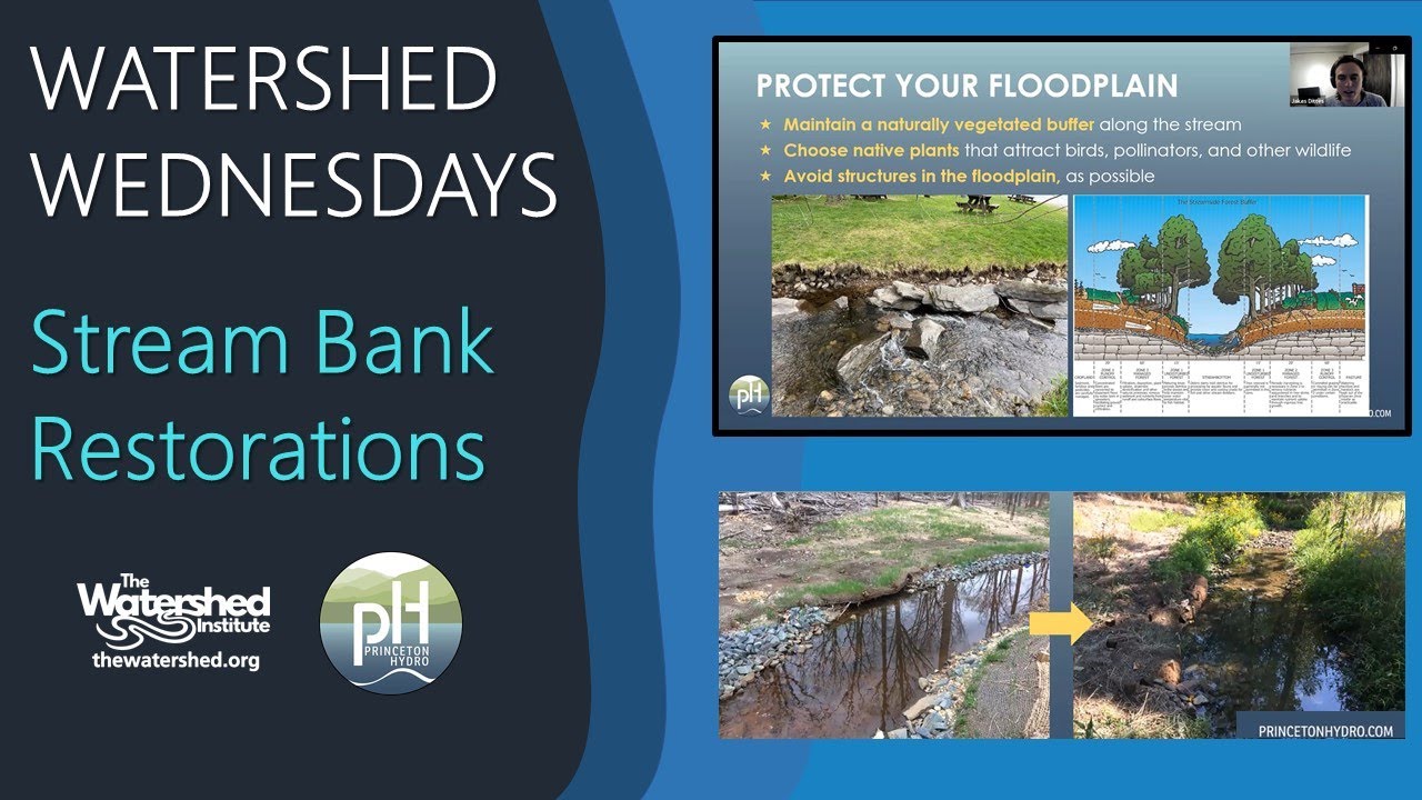 Stream Bank Restoration in Communities & Backyards - YouTube